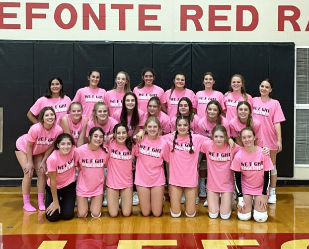 Dig Pink does the job! | News, Sports, Jobs - The Express